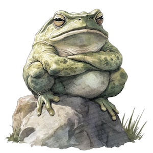 Grumpy Toad PNG Clipart, 12x Angry Frog Clip Art Set, Printable ...