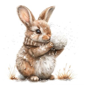 Winter Bunny PNG Clipart, 12x Cute Snowball Rabbit Clip Art Set ...