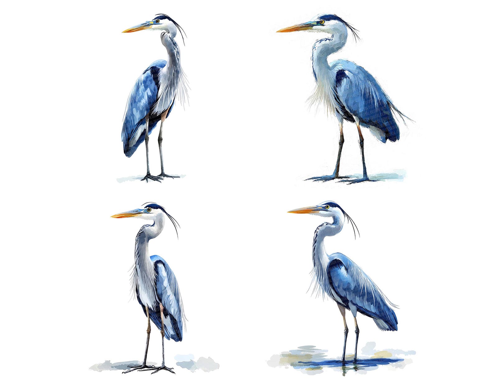 12x Blue Heron PNG Clipart, Watercolor Bird Art Set, High Quality ...