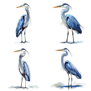 12x Blue Heron PNG Clipart, Watercolor Bird Art Set, High Quality ...