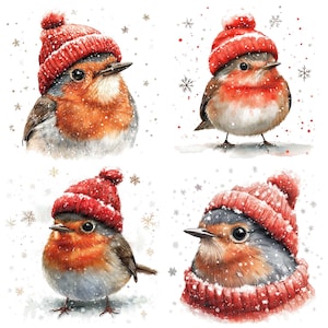 Christmas Robin Clip Art, 12x Winter Bird Clipart Set, Red Hat Robin ...