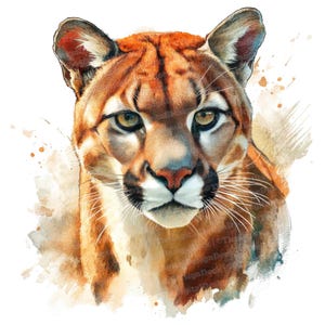 Wild Cats Clipart, Big Cats Watercolor Illustration, Printable Clipart ...