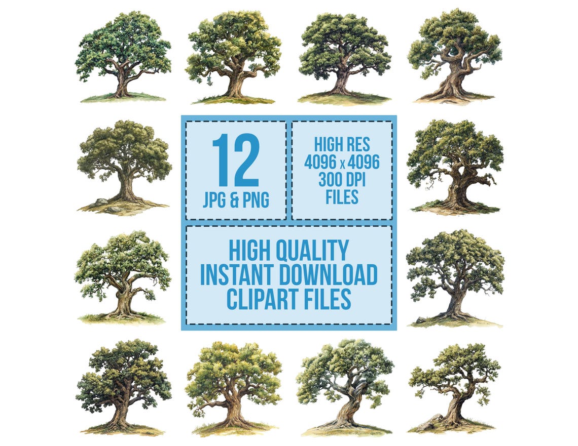 Old Oak Tree PNG Clipart, 12x Watercolor Tree Clip Art Set, Printable ...