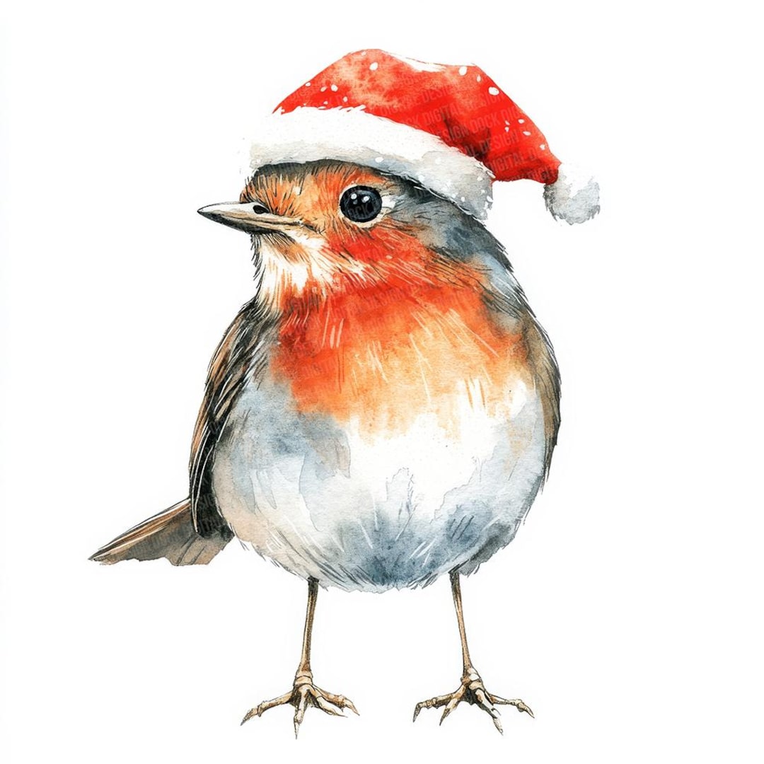 Robin Santa Hat PNG Clip Art, 12x Christmas Bird Watercolor Clipart Set, Printable Digital ...
