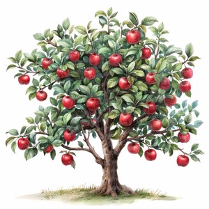 12x Apple Trees Clipart, Red Apples Clipart, Printable Watercolor ...