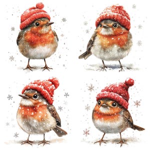 Christmas Robin Clip Art, 12x Winter Bird Clipart Set, Red Hat Robin ...