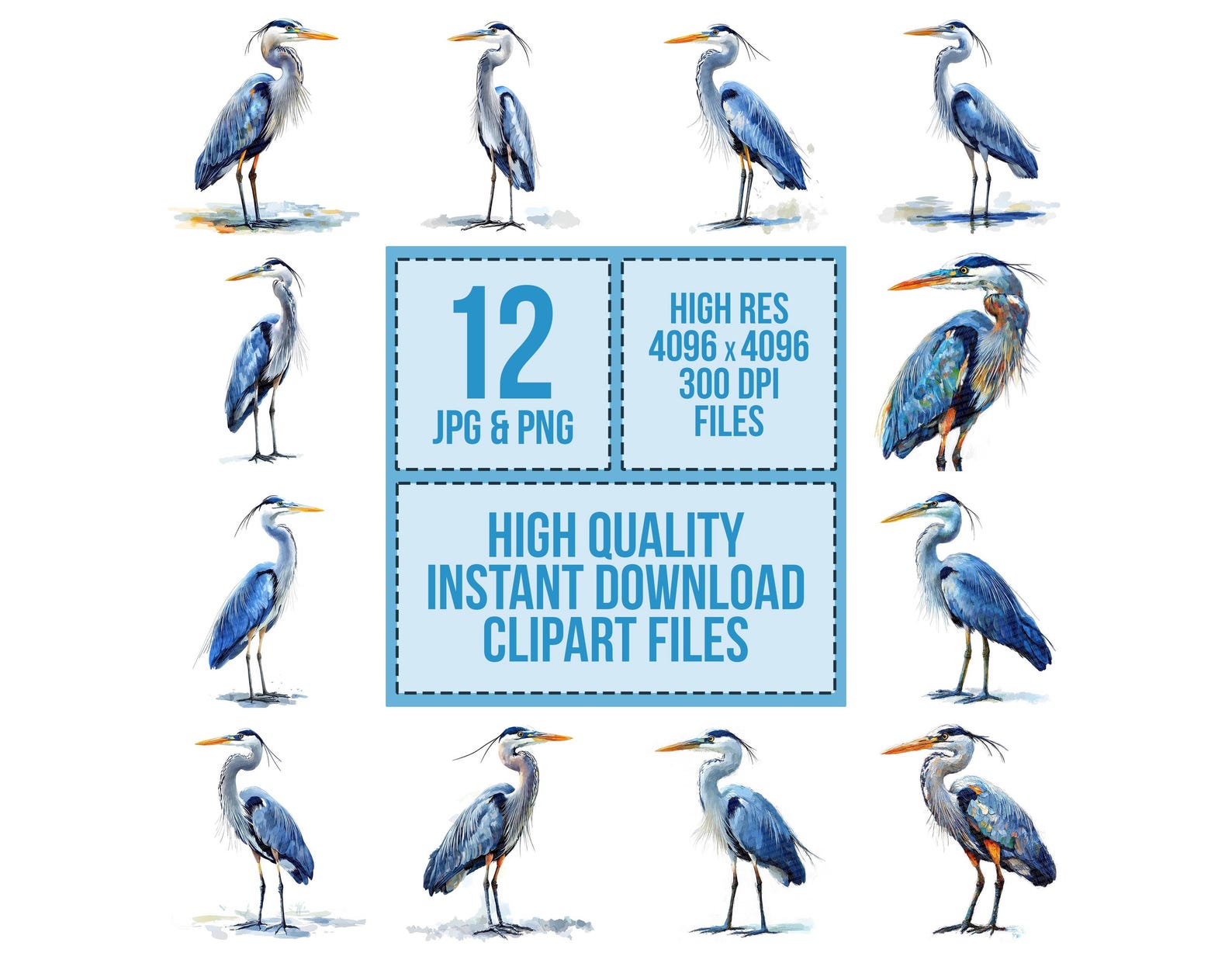 12x Blue Heron PNG Clipart, Watercolor Bird Art Set, High Quality ...