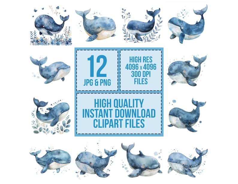 Nursery Whale PNG Clipart, 12x Baby Whale Clip Art Set, Printable ...