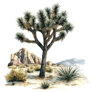 Joshua Tree PNG Clipart, 12x Desert Landscape Clip Art Set, Printable ...