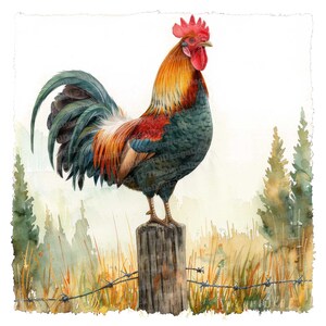 12x Farm Cockerel Clipart, Farm Fence Clipart, Printable Watercolor ...