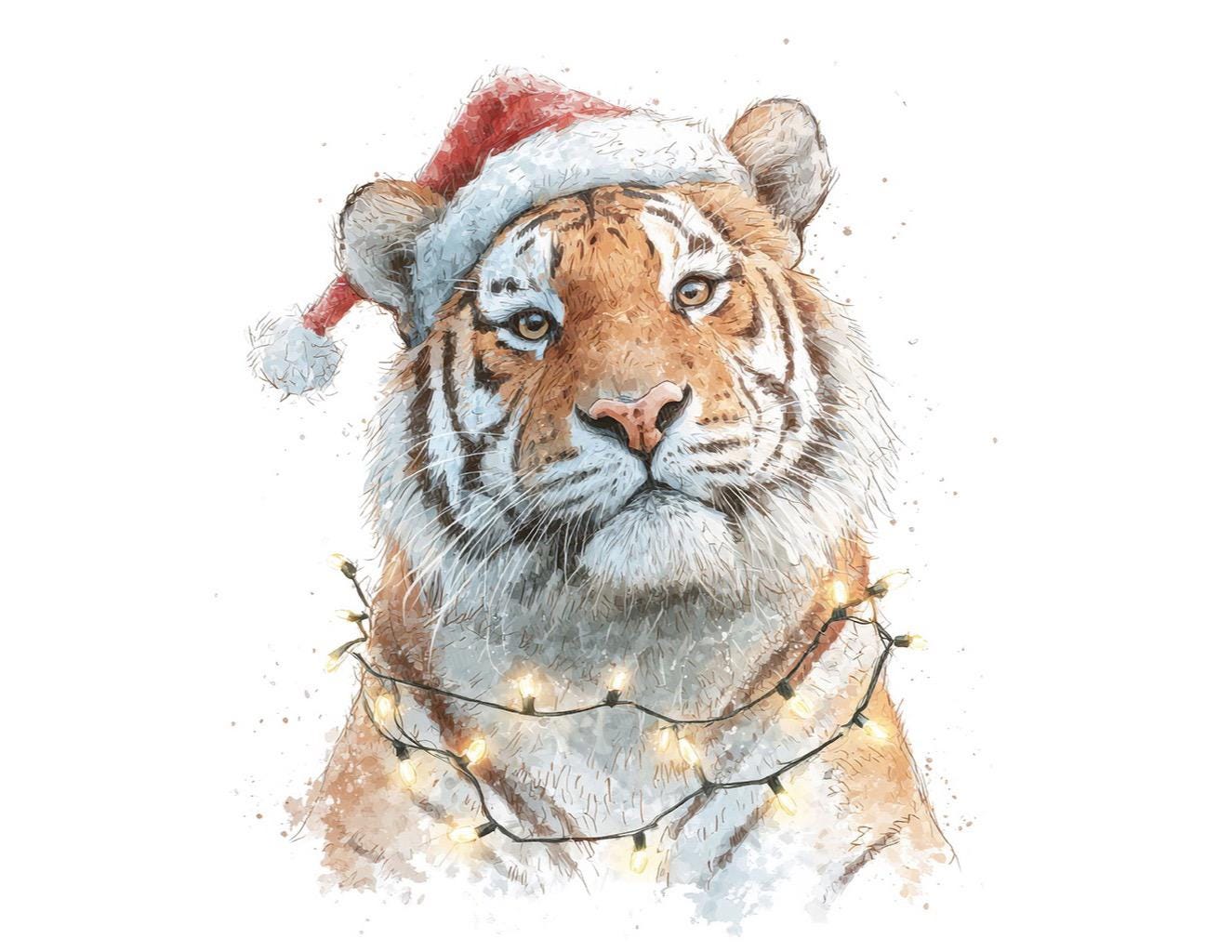 Christmas Tiger Clipart, 12x Santa Hat Tigers PNG, Printable Watercolor ...