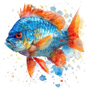 12 Bluegill Fish Clipart, Watercolor Fish Clipart, Printable Watercolor ...