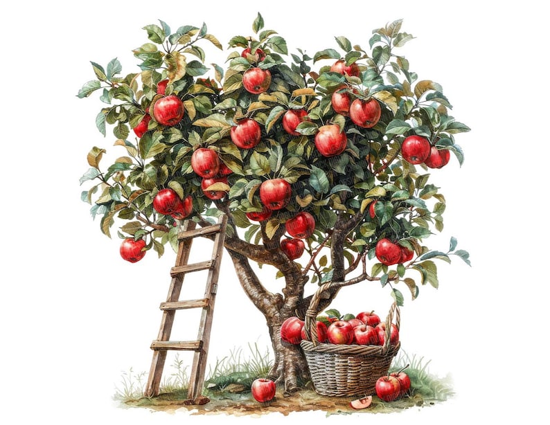 Apple Tree Harvest PNG Clipart, 12x Fall Fruit Clip Art Set, Printable ...