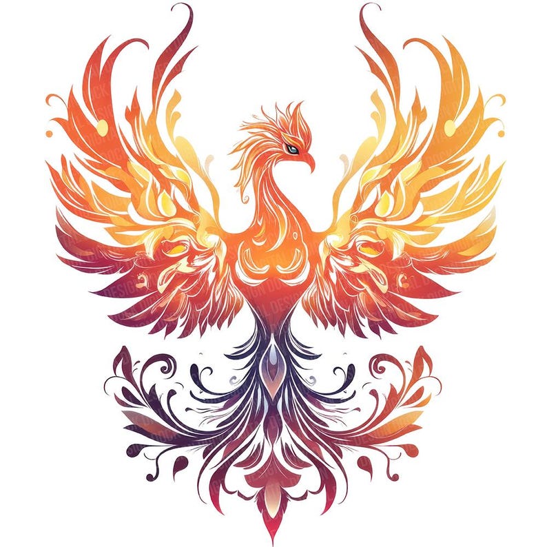 Phoenix PNG Clipart, 12x Colorful Abstract Phoenix Illustrations ...