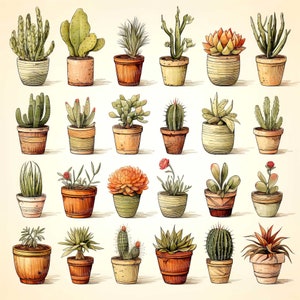 12x Potted Cactus Clipart, Pot Plants Floral Clipart, Printable ...