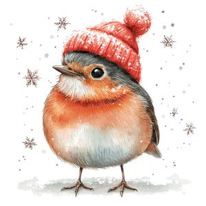 Christmas Robin Clip Art, 12x Winter Bird Clipart Set, Red Hat Robin ...