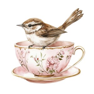 Wren in Pink Teacup PNG Clip Art, 12x Bird Clip Art Set, Printable ...