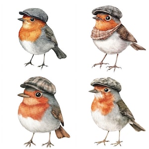 12x Robin in Plaid Cap PNG Clip Art, Watercolor Flat Cap Clipart Set ...