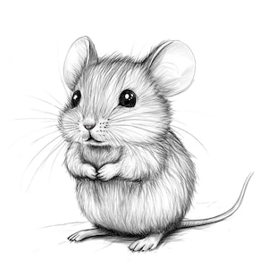 Mouse Sketch PNG Clipart, 12x Intricate Cute Mouse Illustrations ...
