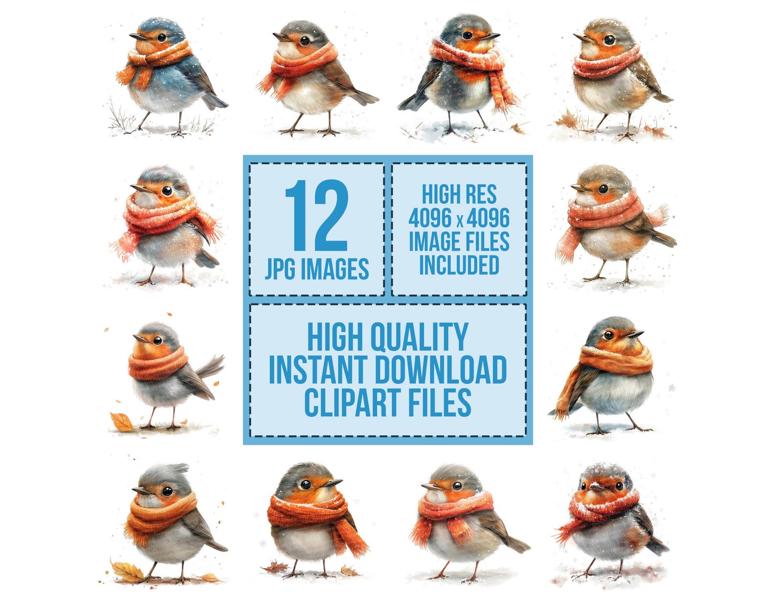 12 Winter Bird Clipart, Watercolor Robin in Scarf, Printable Watercolor ...
