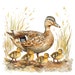 12x Mother Duck Clipart, Ducklings Watercolour Clipart, Printable ...