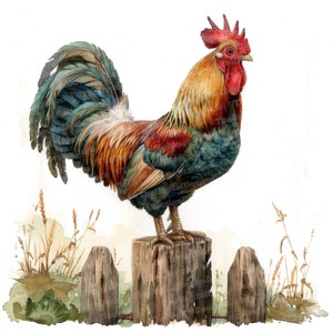 12x Farm Cockerel Clipart, Farm Fence Clipart, Printable Watercolor ...
