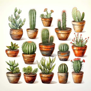 12x Potted Cactus Clipart, Pot Plants Floral Clipart, Printable ...