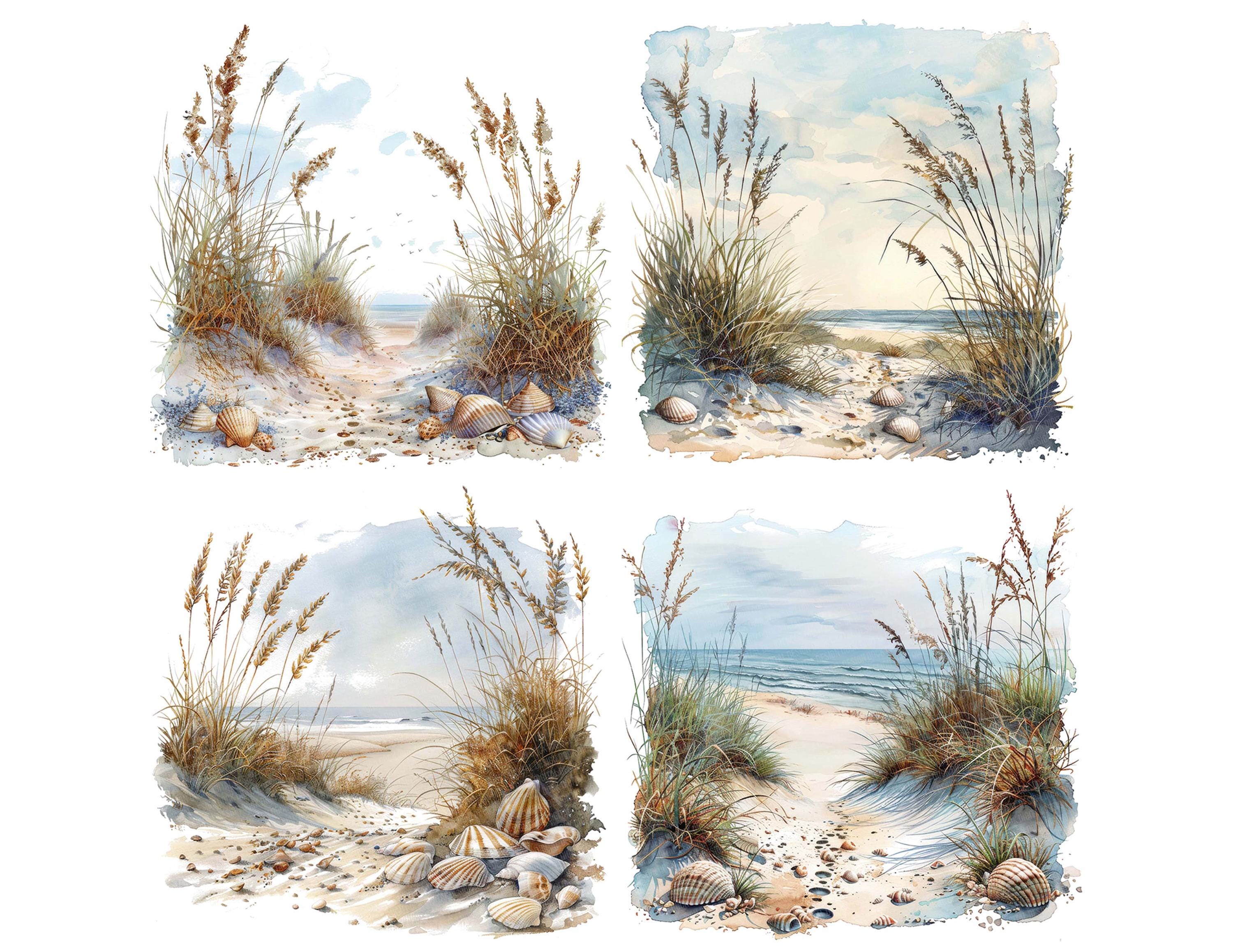 Coastal Shells PNG Clipart, 12x Sand Dunes Beach Clip Art Set ...