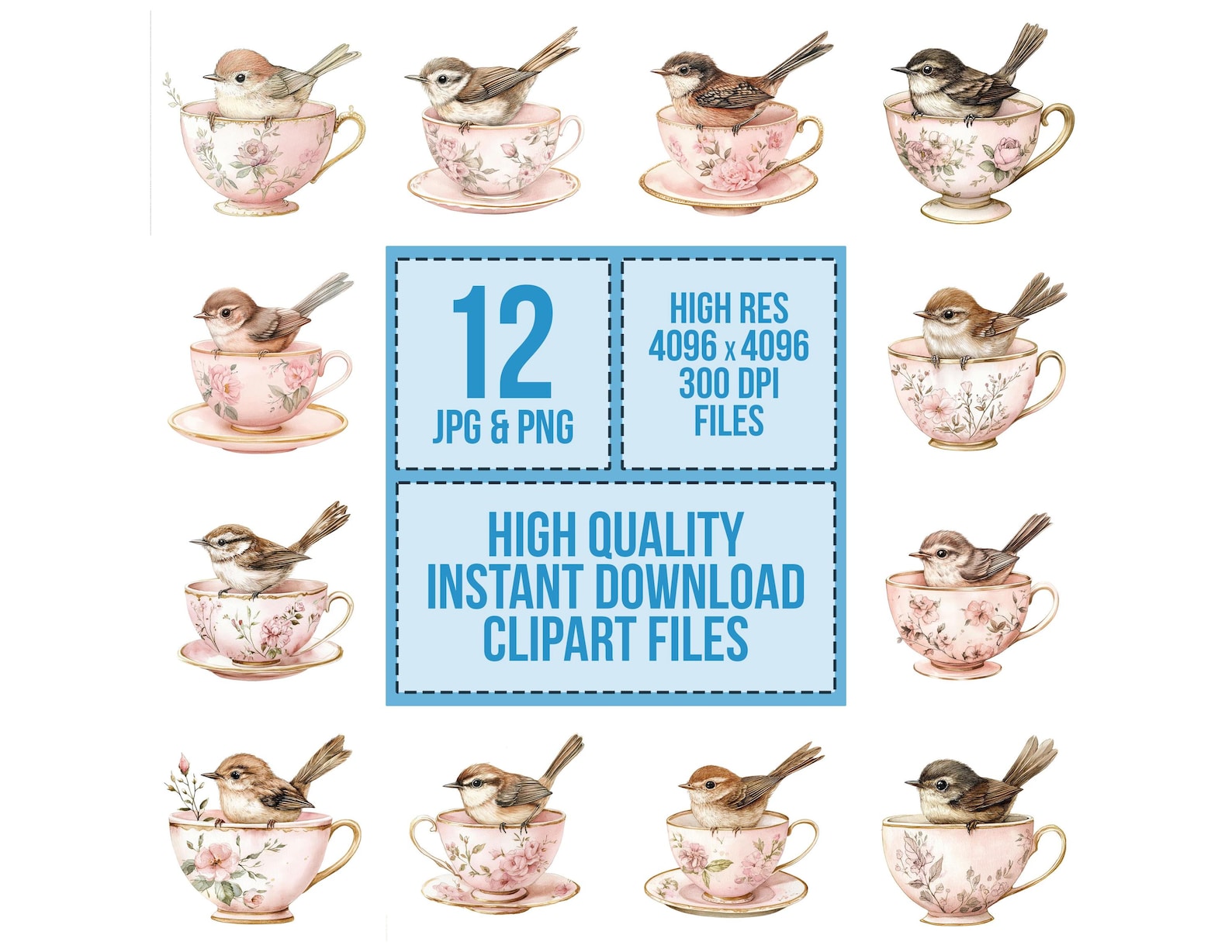 Wren in Pink Teacup PNG Clip Art, 12x Bird Clip Art Set, Printable ...