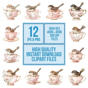 Wren in Pink Teacup PNG Clip Art, 12x Bird Clip Art Set, Printable ...