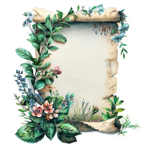 12x Floral Paper Scroll Clipart, Vintage Clipart, Printable Watercolor ...