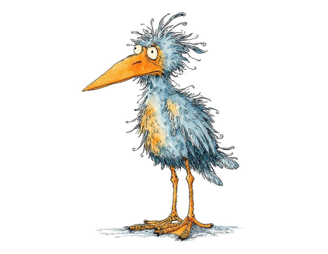 Scruffy Bird PNG Clipart, 12x Long Leg Bird Character Clip Art Set ...