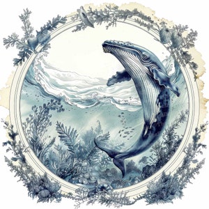 12x Vintage Whales Clipart, Ocean Whales Sea Clipart, Printable ...
