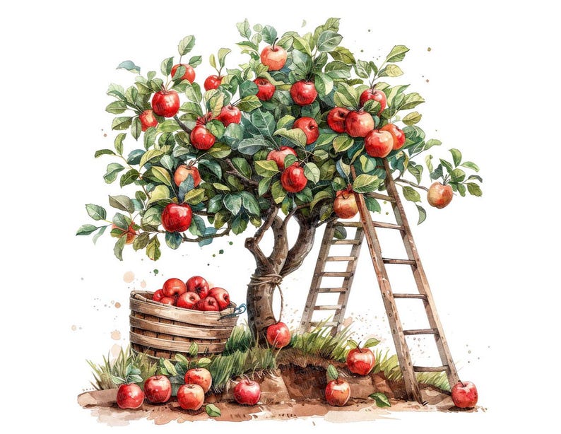 Apple Tree Harvest PNG Clipart, 12x Fall Fruit Clip Art Set, Printable ...