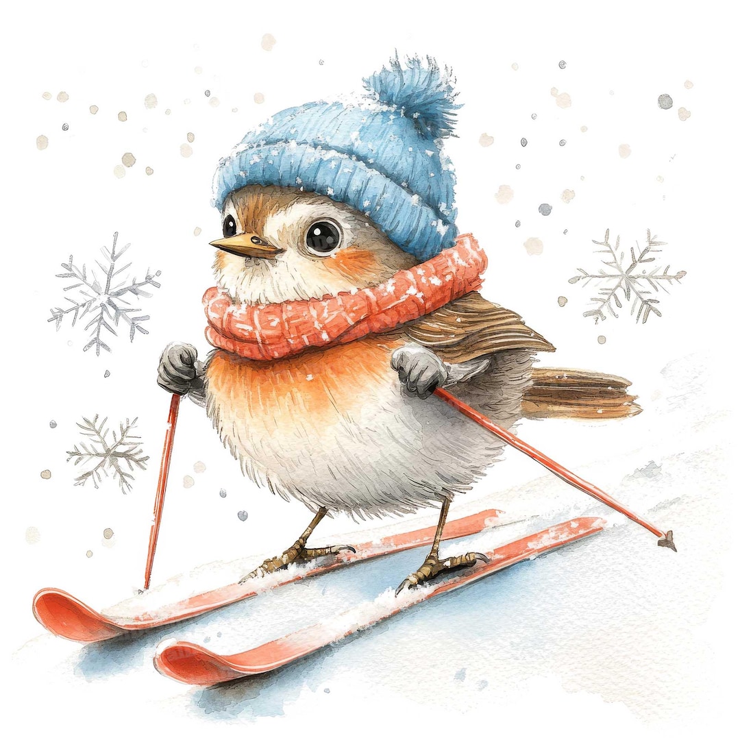 12x Robin in Winter Hat Clip Art, Skiing Robin Clipart, Robin Skiing ...