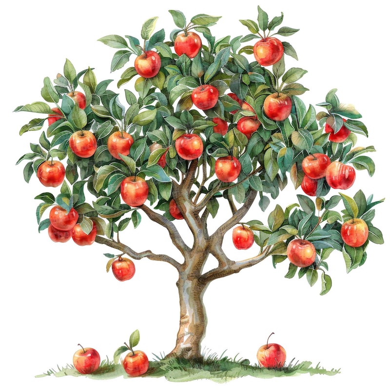 Red Apple Tree - Etsy
