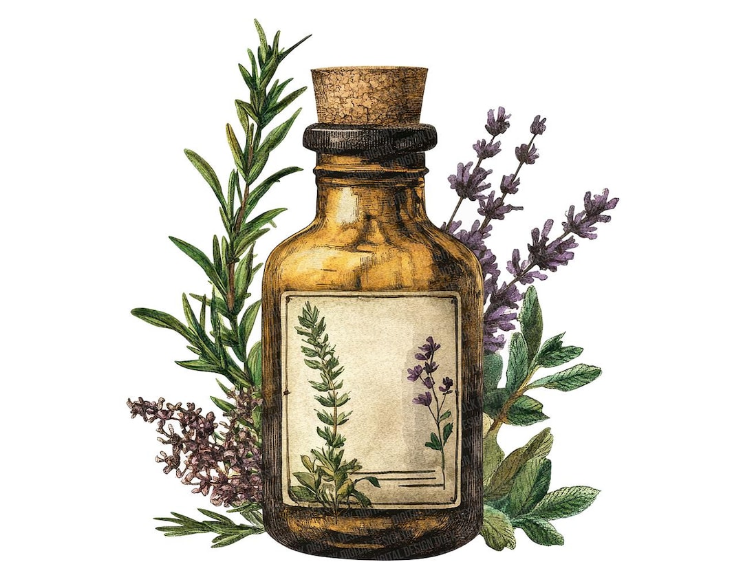 Herbal Apothecary Jar PNG Clipart, 12x Botanical Potion Bottle Clip Art ...