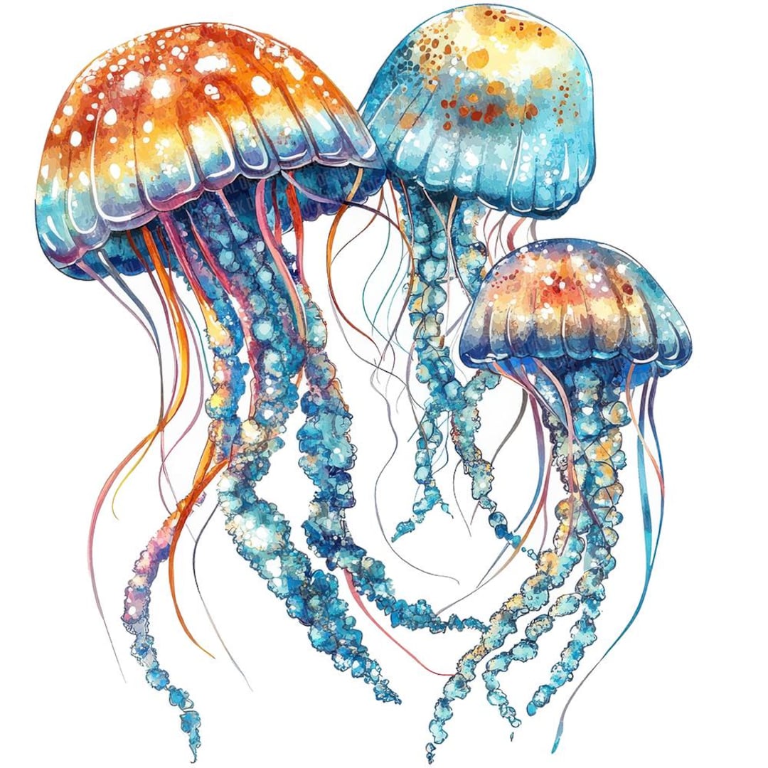 12x Marine Jellyfish PNG Clipart, Watercolor Sea Life Clip Art Set ...