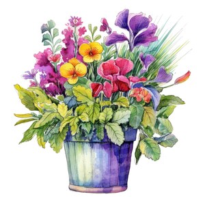 12x Potted Flowering Plant Clipart, Pot Floral Clipart, Printable ...