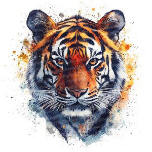 Wild Cats Clipart, Big Cats Watercolor Illustration, Printable Clipart ...