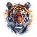 Wild Cats Clipart, Big Cats Watercolor Illustration, Printable Clipart ...