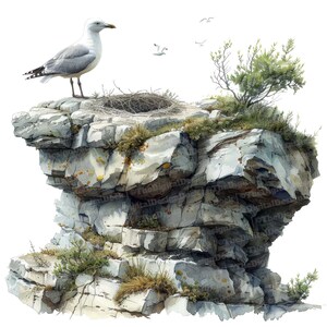 12x Seagulls Clipart, Gulls Nesting Cliffs Clipart, Printable ...