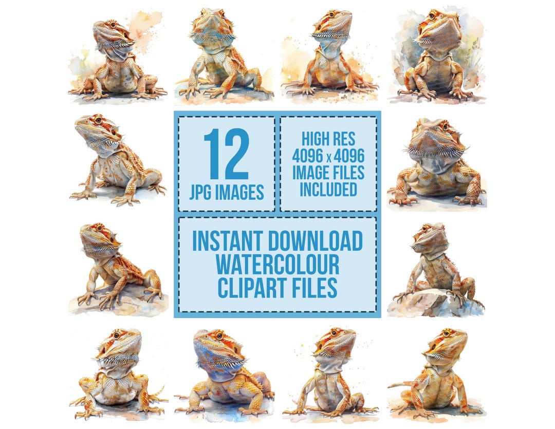 12 Bearded Dragon Clipart, Watercolor Lizard Clipart, Printable ...