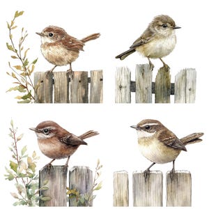 Wren PNG Clipart, 12x Birds on Fence Clip Art Set, Printable Watercolor ...