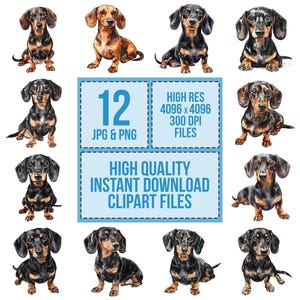 Dachshund Dog PNG Clip Art, 12x Watercolor Wiener Dog Clipart PNG Set ...