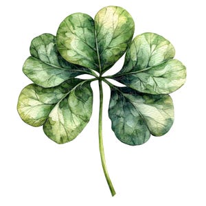 12 Four-leaf Clover Clipart, Watercolor Shamrock Illustration,printable ...