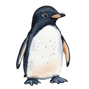 Penguin PNG Clipart, 12x Watercolor Antarctic Animal Clip Art Set ...