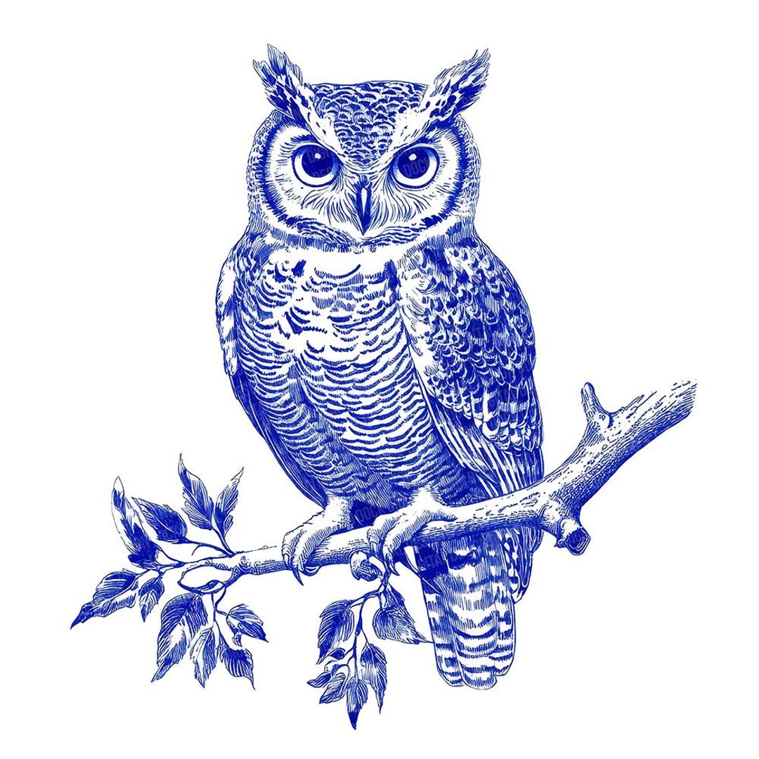 Delft Blue Owl Clipart, 12x Watercolor Owl PNG Set, Printable Bird Clip ...