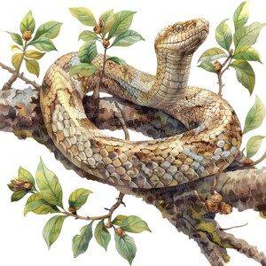 12x Snake in Tree Clipart, Reptile Tree Clipart, Printable Watercolor ...