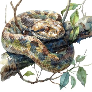 12x Snake in Tree Clipart, Reptile Tree Clipart, Printable Watercolor ...